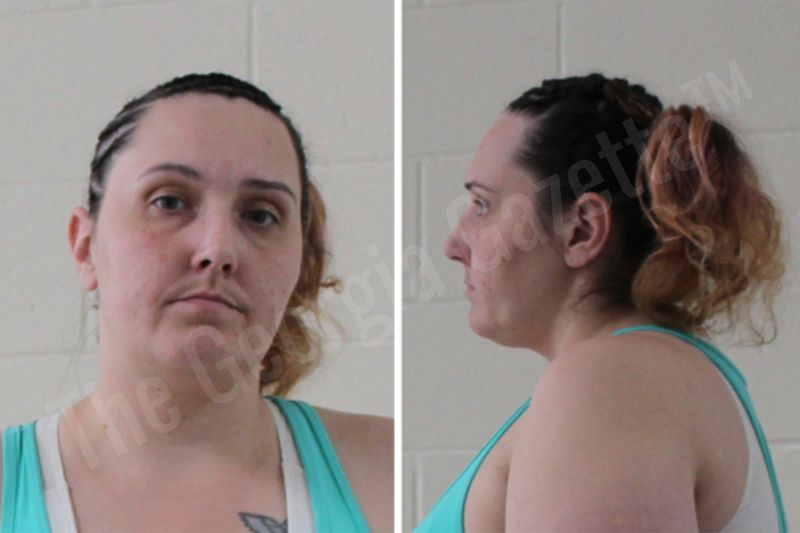 Ashley Brooks — Houston County Jail Bookings