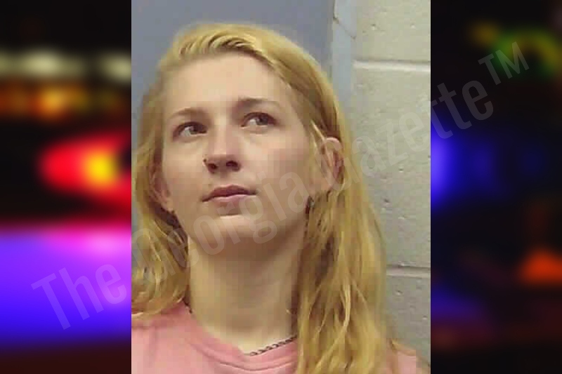 Laurie Bruce — Chattooga County Jail Bookings