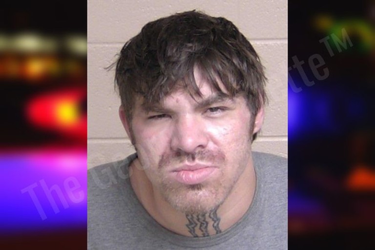 Austin Bynum — Walker County Jail Bookings