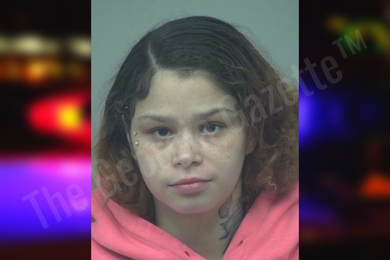 Brandis Caudle — Gwinnett County Jail Bookings