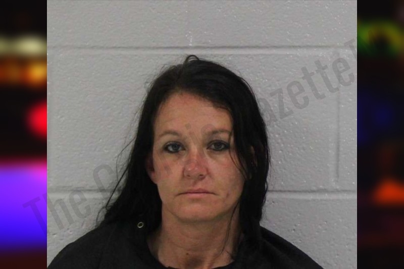 Heather Chappell — Carroll County Jail Bookings