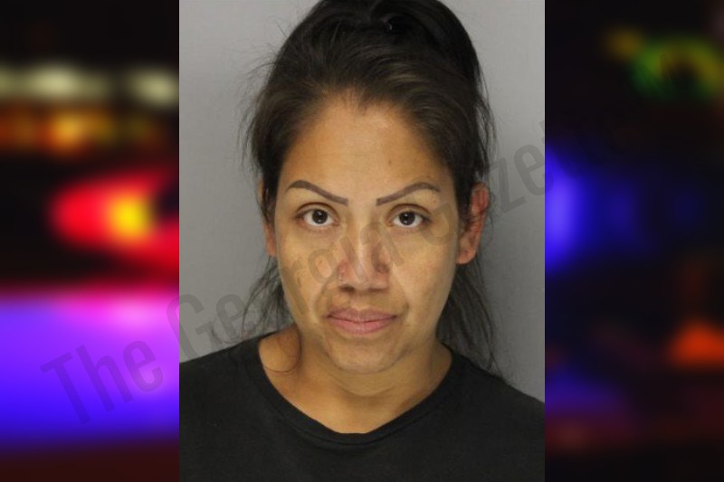 Maria Chavez — Hall County Jail Bookings