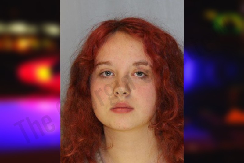 Tierra Crowe — Hall County Jail Bookings