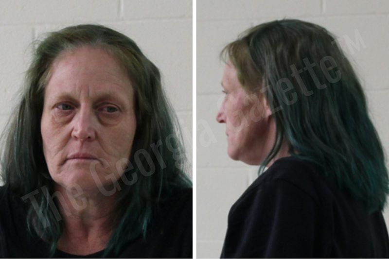 Dorthea Camp — Houston County Jail Bookings