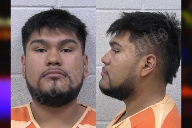 Ronny Castillo-Palacios — Paulding County Jail Bookings