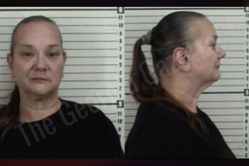 Sandy Clark — Camden County Jail Bookings
