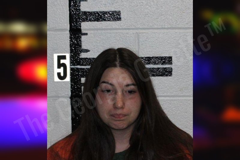 Aleea Collins — Murray County Jail Bookings