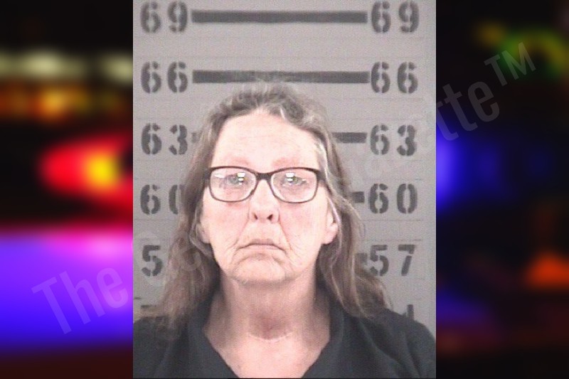 Jo Ann Cook — Dougherty County Jail Bookings