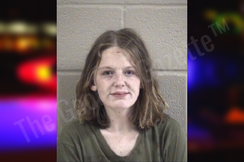 Emily Dean — Whitfield County Jail Bookings