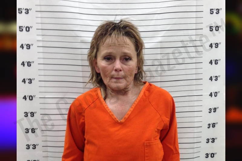 Judy Denson — Pickens County Jail Bookings