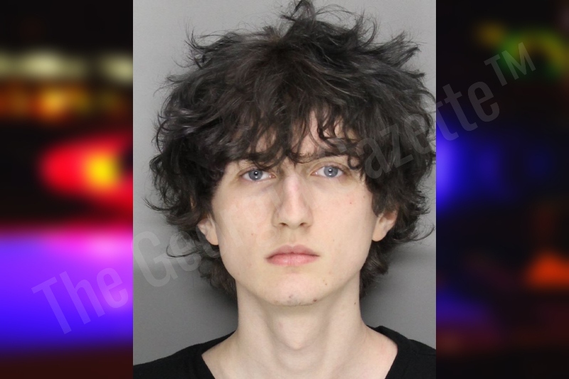 Alexander Ergle — Cobb County Jail Bookings