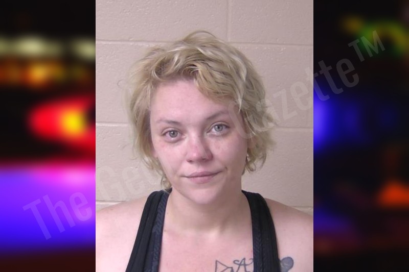 Erica Ellis — Walker County Jail Bookings