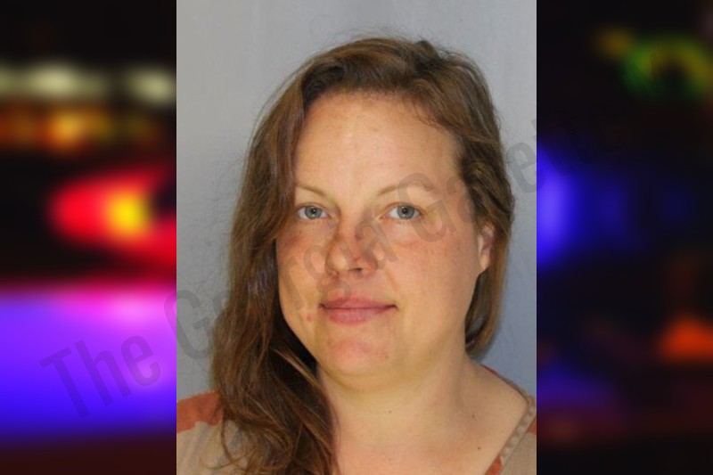 Jessica Fain — Hall County Jail Bookings