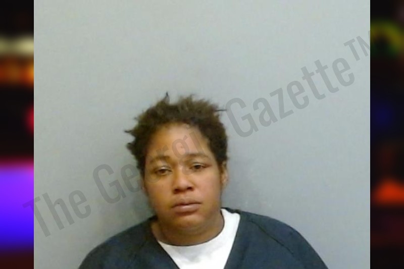 Robyn Fountain — Fulton County Jail Bookings