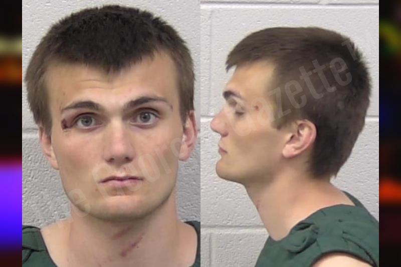 Jonah Faucett — Paulding County Jail Bookings