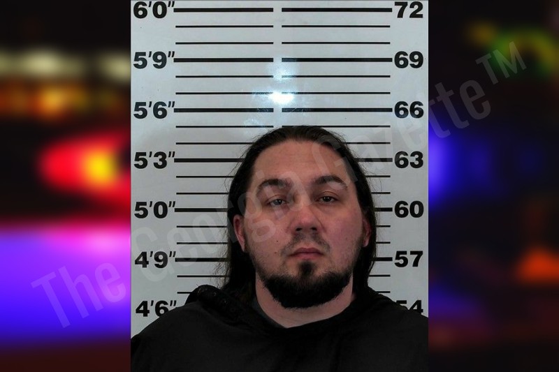 Nicholas Goins — Hart County Jail Bookings