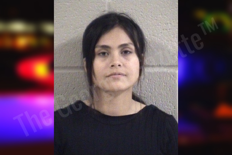 Julye Gomez-Rodriguez — Whitfield County Jail Bookings