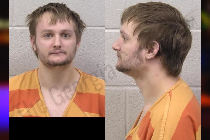 Taylor Goodson — Paulding County Jail Bookings