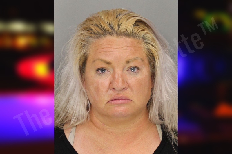 Jessica Hanlin — Cobb County Jail Bookings