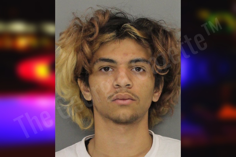 Gabriel Hartsaw — Cobb County Jail Bookings