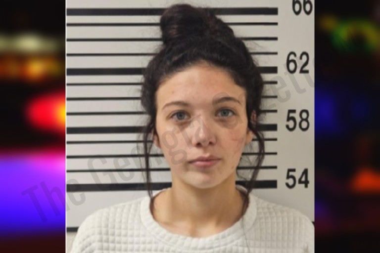 Marlaina Herndon — Toombs County Jail Bookings