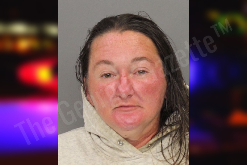 Hayley Hood — Cobb County Jail Bookings