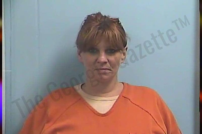 Brandie Hardison — Dawson County Jail Bookings
