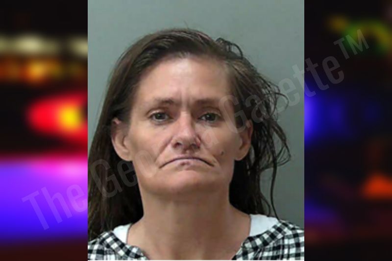 Michelle Harper — Towns County Jail Bookings
