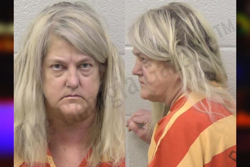 Rhonda Harrington — Paulding County Jail Bookings