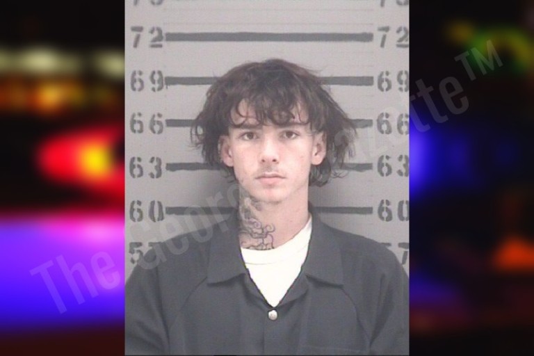 Levi Harris — Dougherty County Jail Bookings