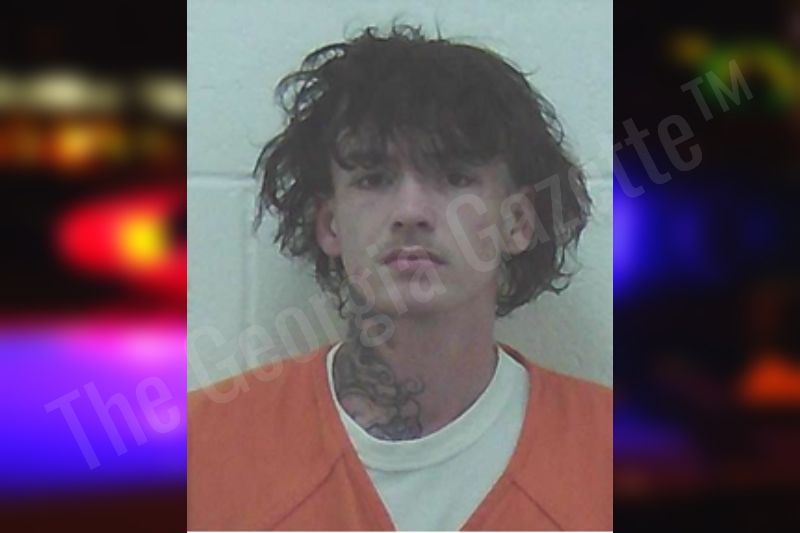 Levi Harris — Worth County Jail Bookings