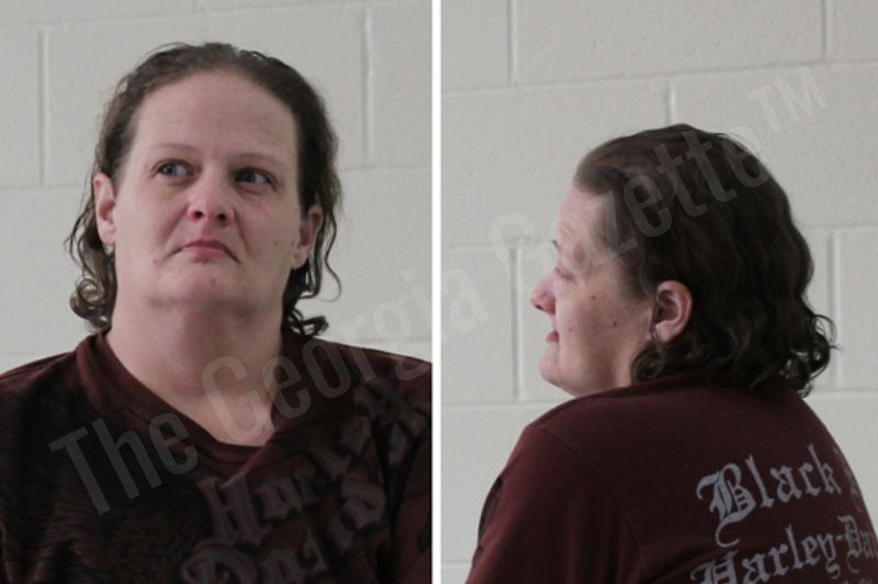 Anna Hays — Houston County Jail Bookings