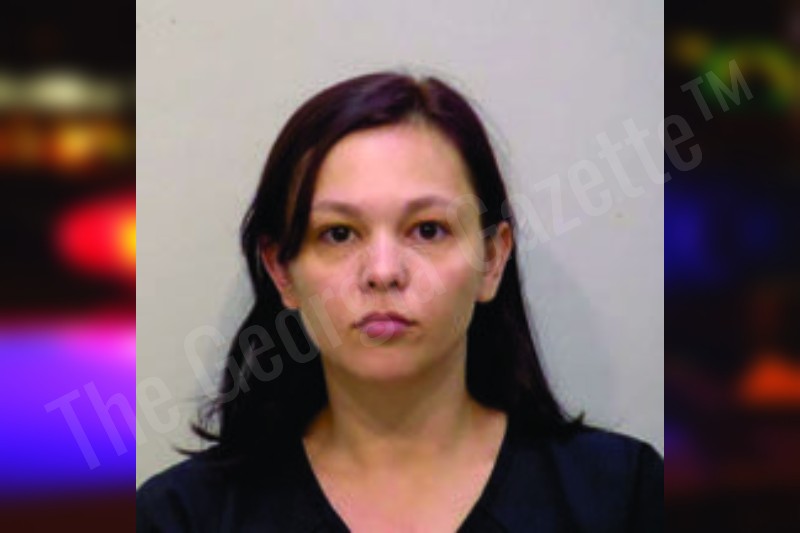 Jessica Head — Bartow County Jail Bookings