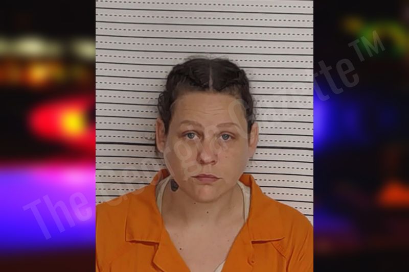 Tabitha Heath — Rockdale County Jail Bookings