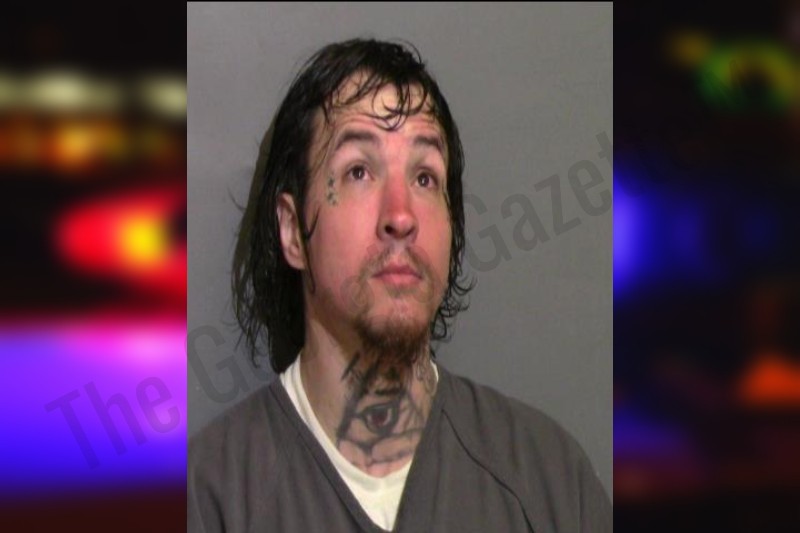 Paul Herrmann — Glynn County Jail Bookings