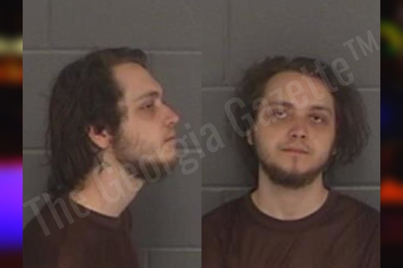 Trevor Hodges — Barrow County Jail Bookings