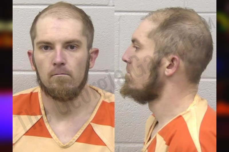 Seth Hopkins — Paulding County Jail Bookings