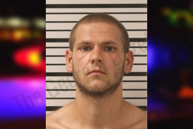 Leland Johnson — Toombs County Jail Bookings