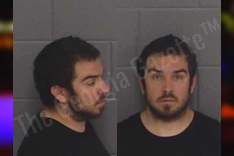 Brandon Johnson — Barrow County Jail Bookings