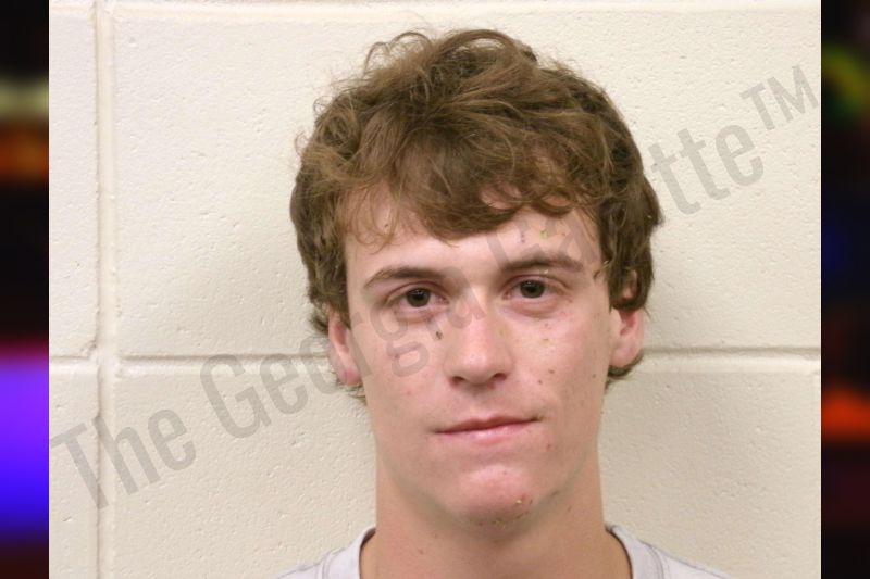 Levi Johnson — Bulloch County Jail Bookings