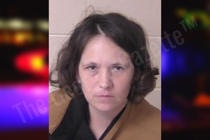 Sheena Johnson — Walker County Jail Bookings