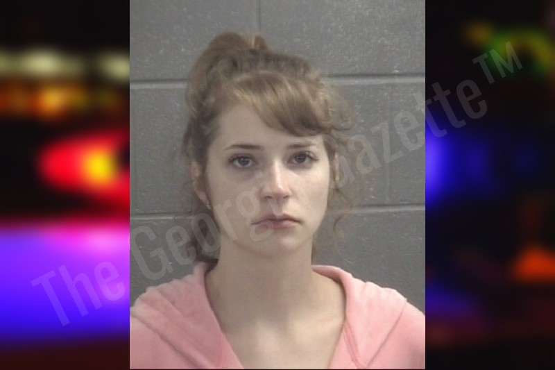 Morgan Jones — Spalding County Jail Bookings