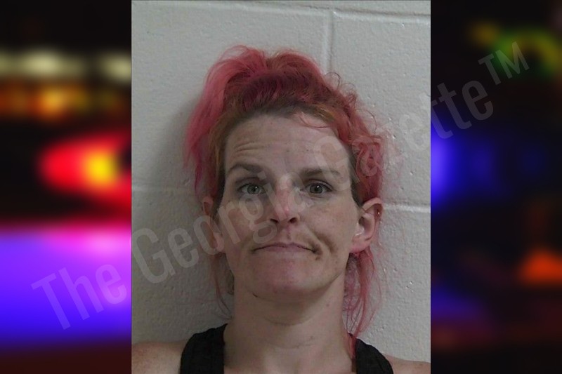 Ashley Kelley — Decatur County Jail Bookings