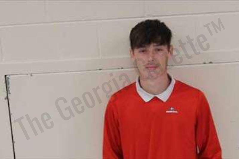 Dylan Lanning — Peach County Jail Bookings