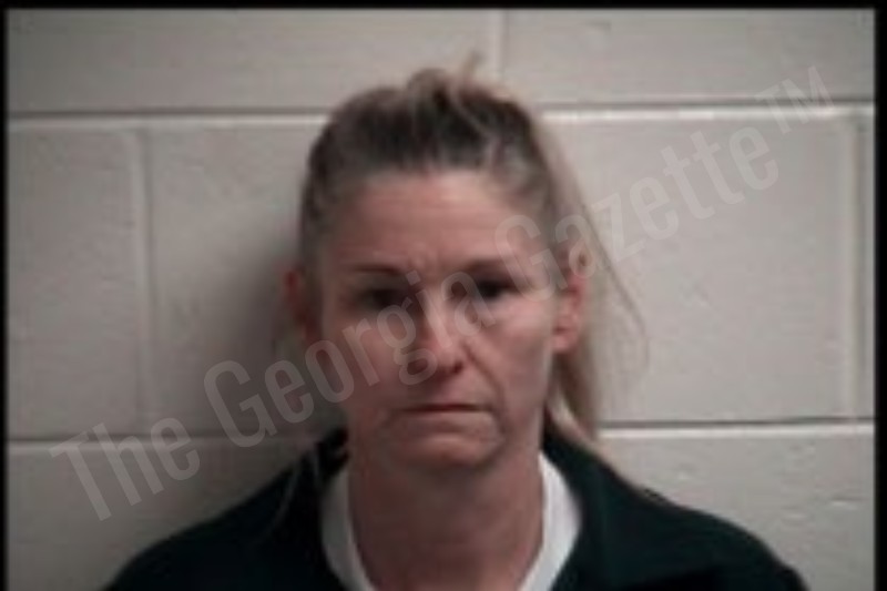 Allison Little — Henry County Jail Bookings
