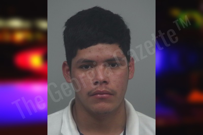 Domingo Lopez Raymundo — Gwinnett County Jail Bookings