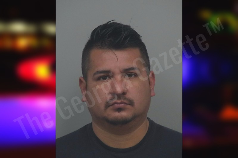 Luis Lopez Seda — Gwinnett County Jail Bookings