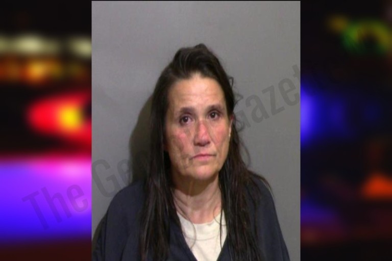 Angela Lanier — Glynn County Jail Bookings