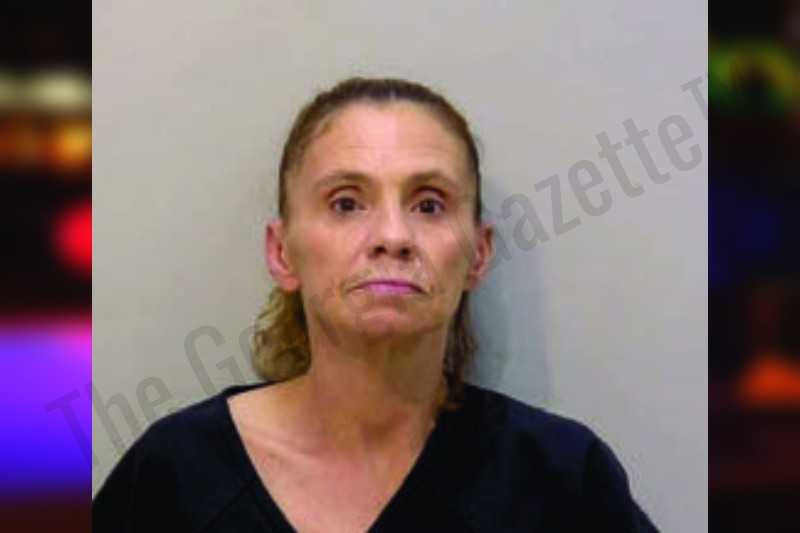 Christy Lewis — Bartow County Jail Bookings