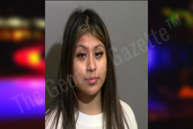 Cynthia Lopez-Iturbide — Glynn County Jail Bookings